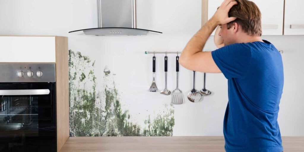 Mould Cleaning - Rapid Restoration